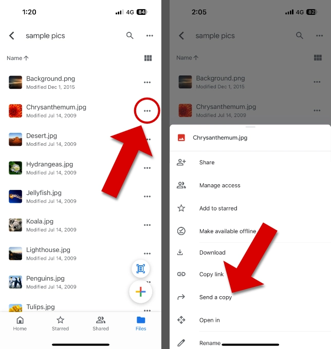  istota Obmedzi Osamel How To Download Photo From Google Photos To Pc
